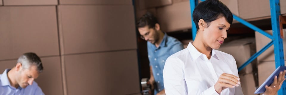 Key Trend in the Supply Chain: Increasing Product Diversity